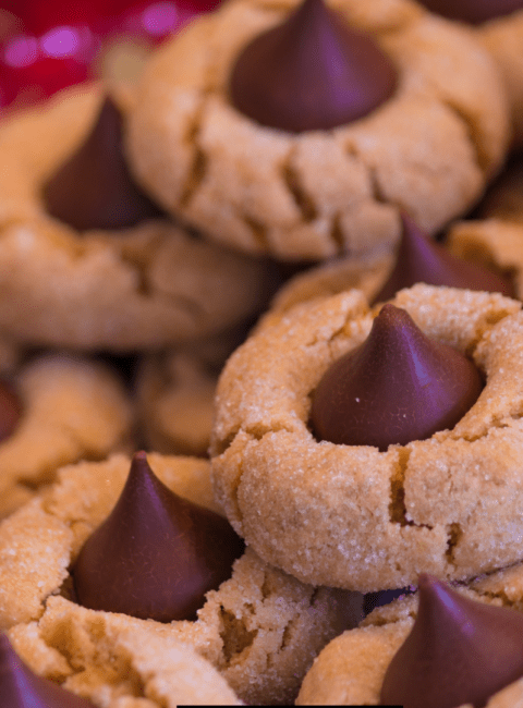 3-Ingredient Sugar Cookies Without Butter | TheRecipeDiary